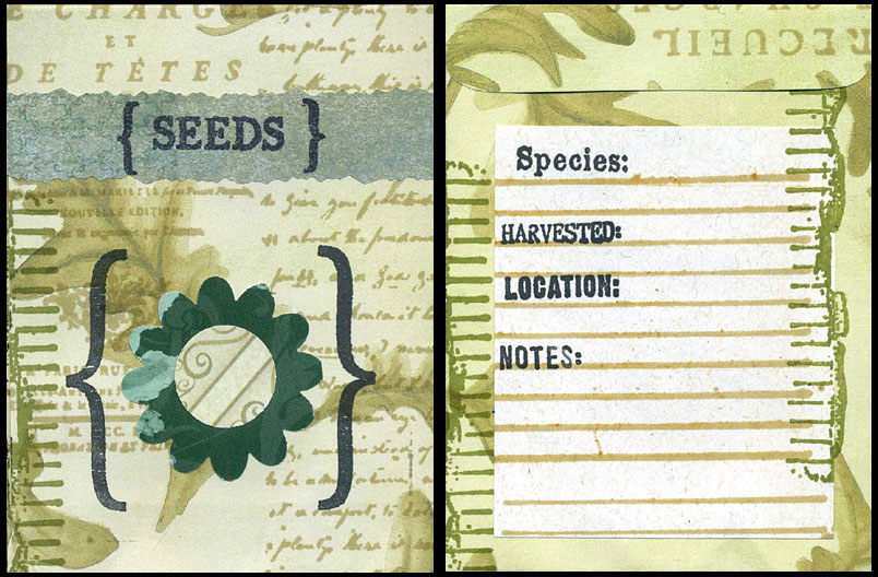 Make a decorated seed packet - Carolyn Hasenfratz Design