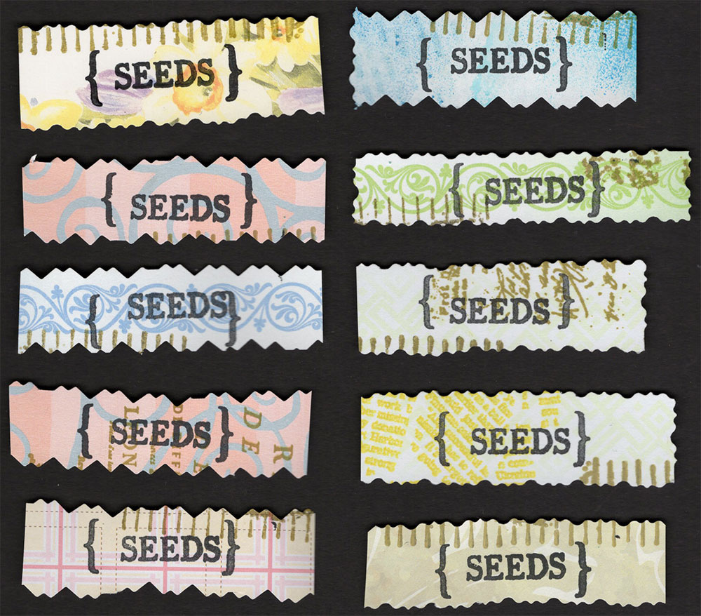 Make a Seed Packet Bouquet - New Version - Carolyn Hasenfratz Design